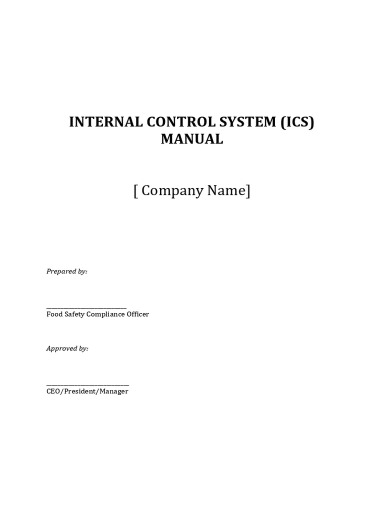 05 Internal Control System Manual Sample | PDF