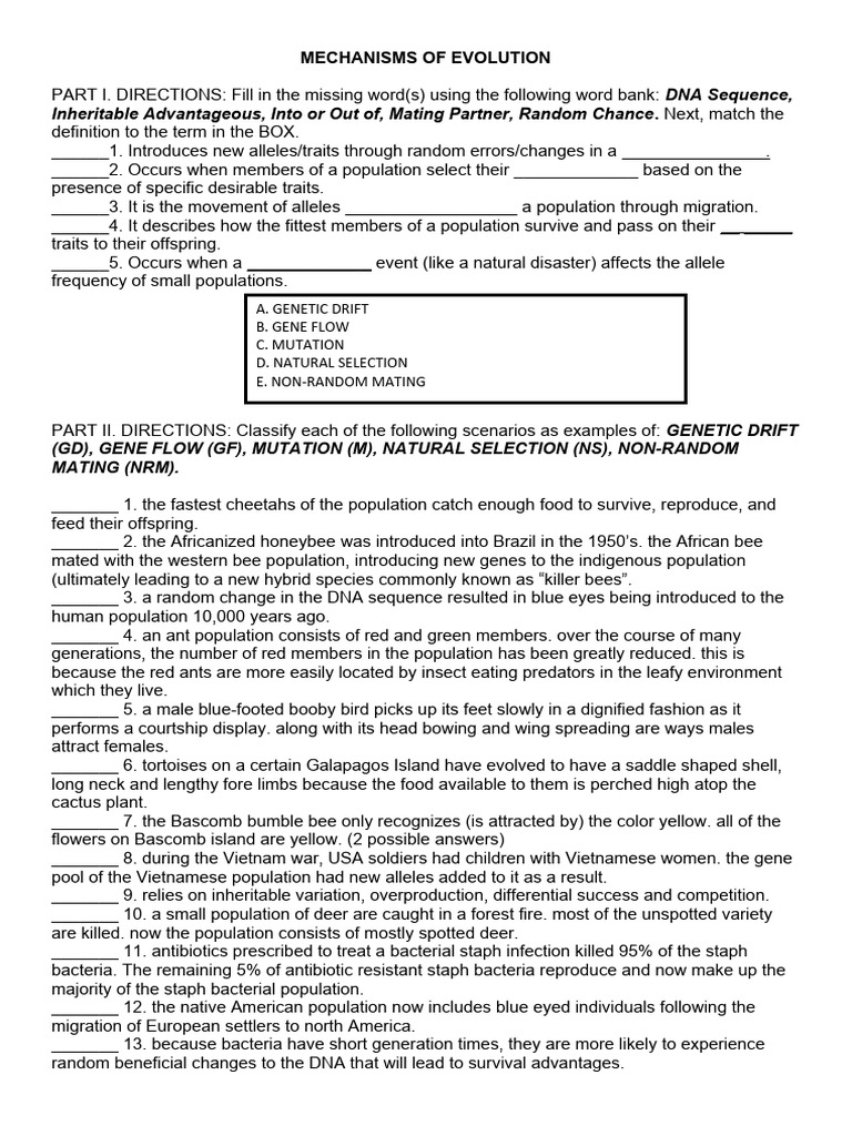 Mechanisms of Evolution Worksheet | PDF | Science & Mathematics