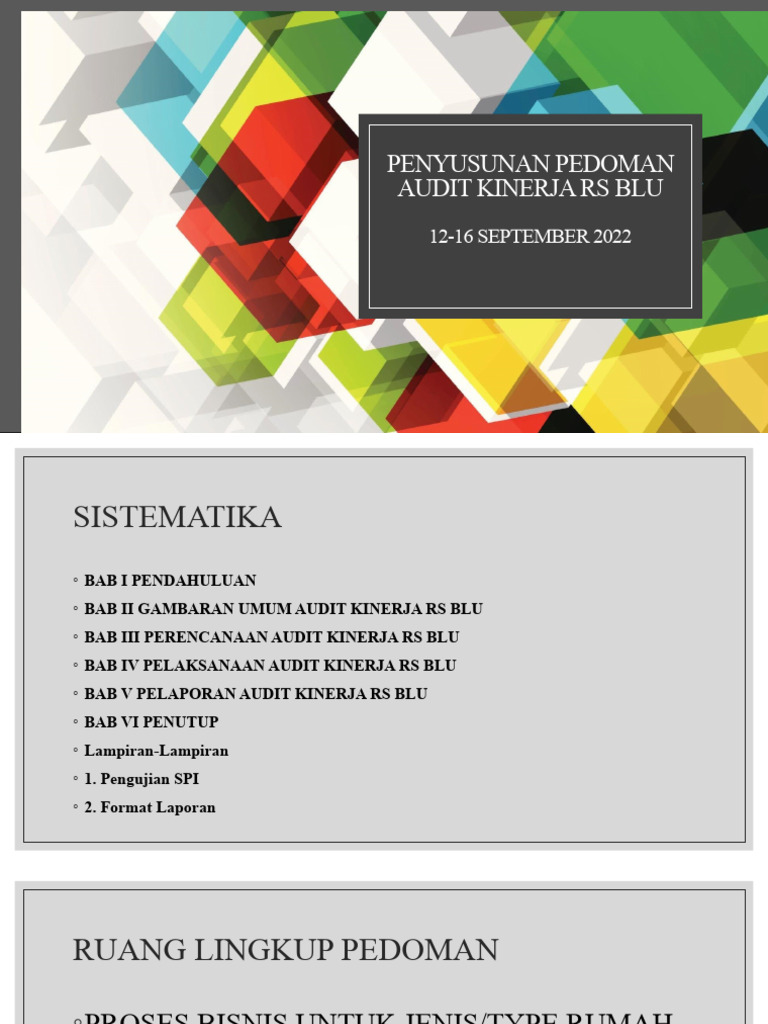 Penyusunan Pedoman Audit Kinerja_RS BLU | PDF