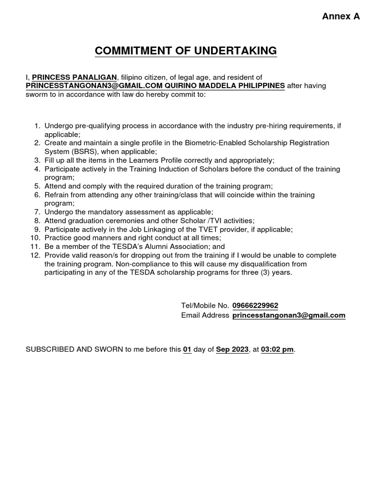 Commitment of Undertaking: Annex A | PDF