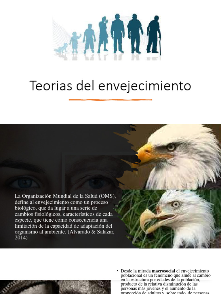 Teorías Biológicas del Envejecimiento | PDF