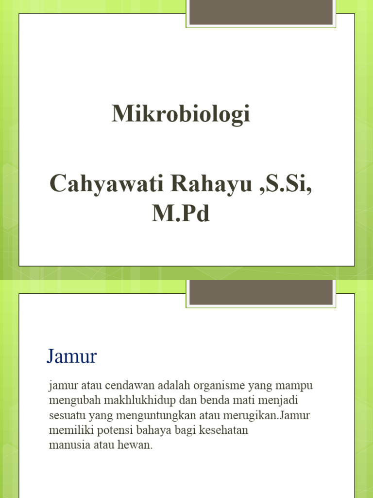 Identifikasi dan Klasifikasi Jamur | PDF