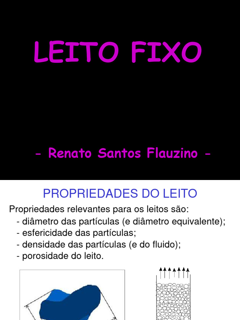 03-Leito Fixo | PDF | Esfera | Física