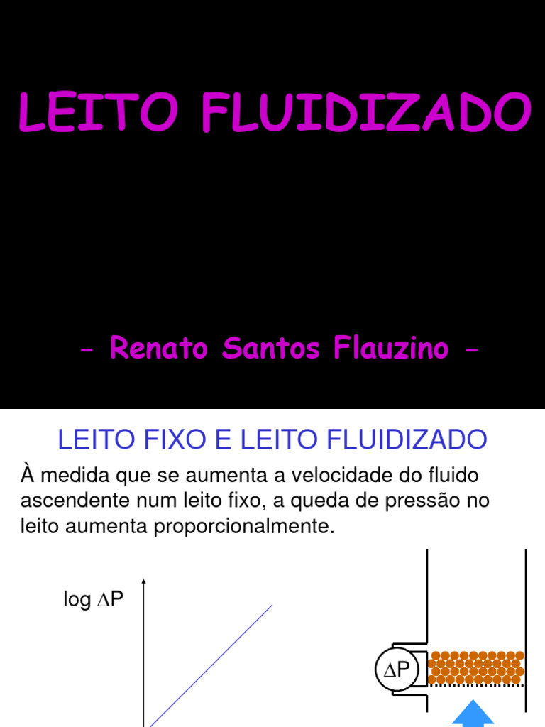Comparação entre Leito Fixo e Fluidizado | PDF