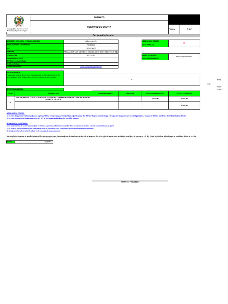 Copia de FORMATO DE SERVICIOS POCSI | PDF | Justicia | Crimen y violencia