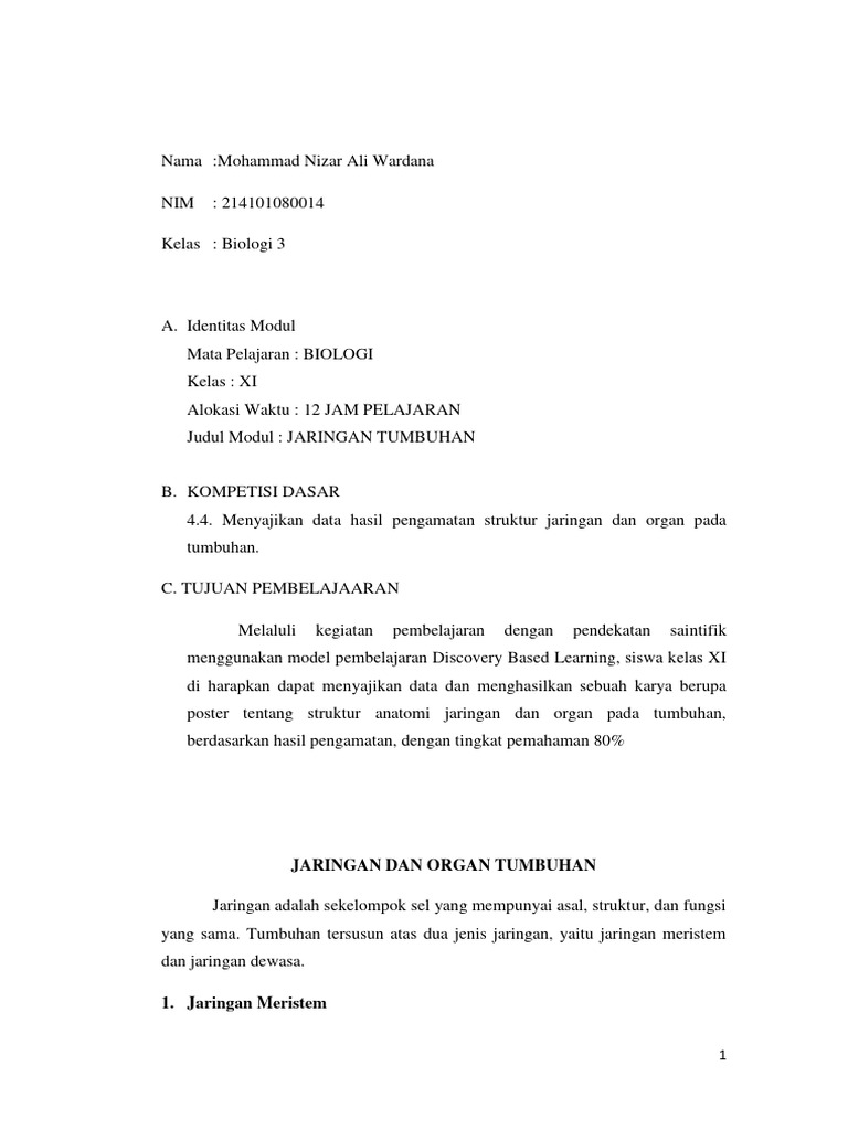 Mohammad Nizar Ali Wardana - Bio 3 | PDF Mohammad Nizar Ali Wardana - Bio 3 | PDF