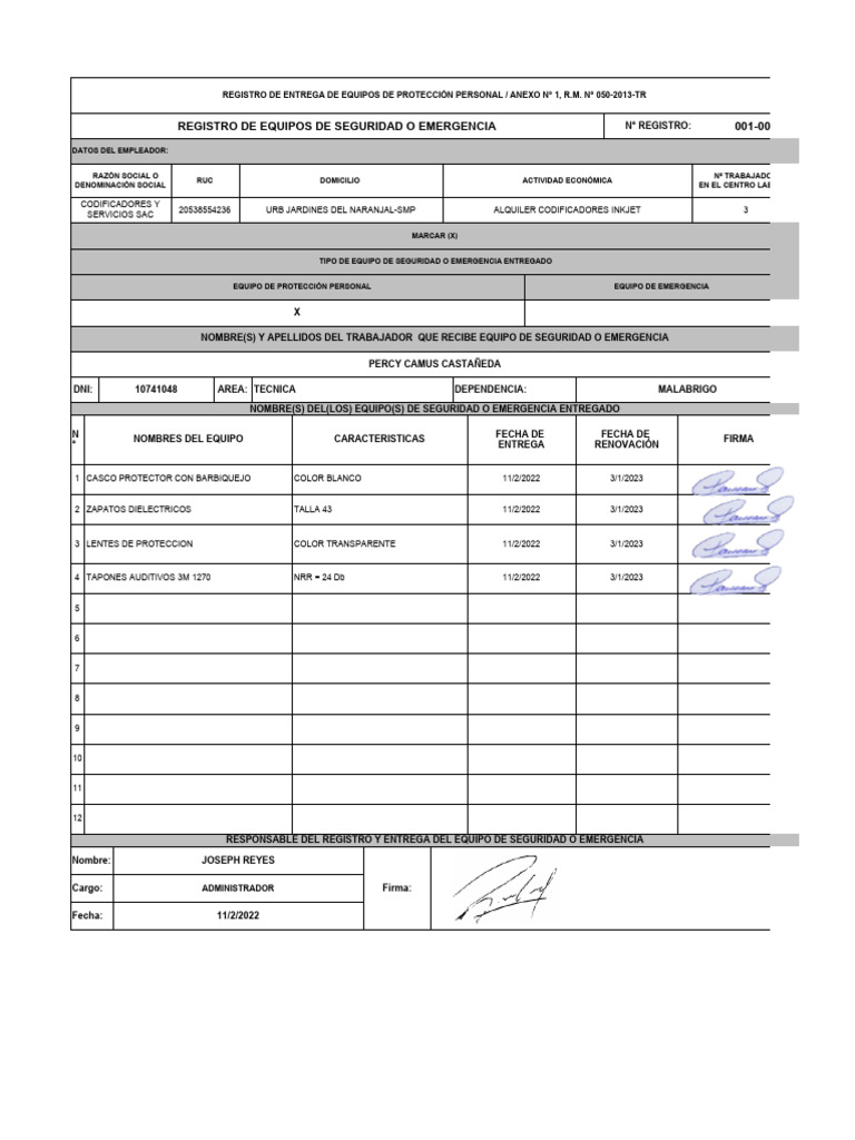 Registro de Entrega Epps - RM 050 2013 TR | PDF