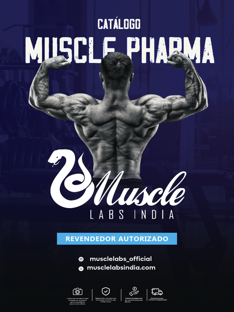 Catalogo - MP e Oxygen | PDF