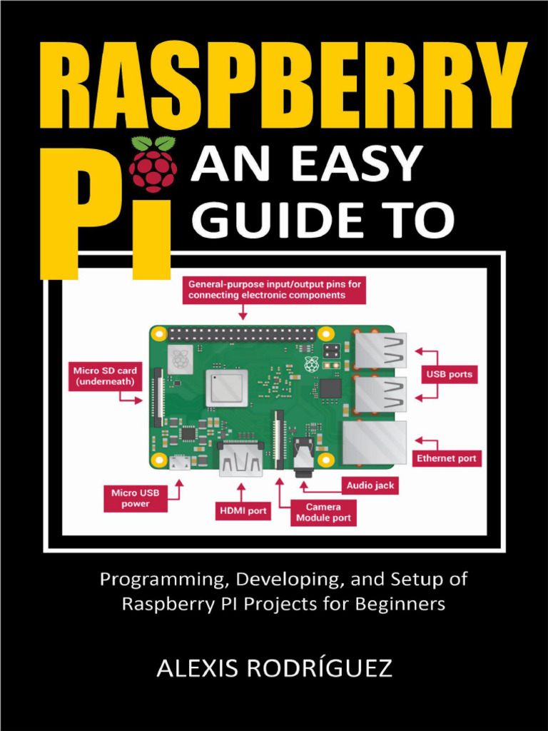 Raspberry Pi An Easy Guide To Programming Developing And Setup Of