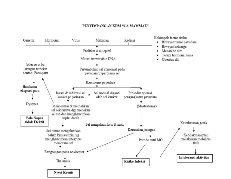 Pathway Ca Mammae Hasanuddin Askep | PDF