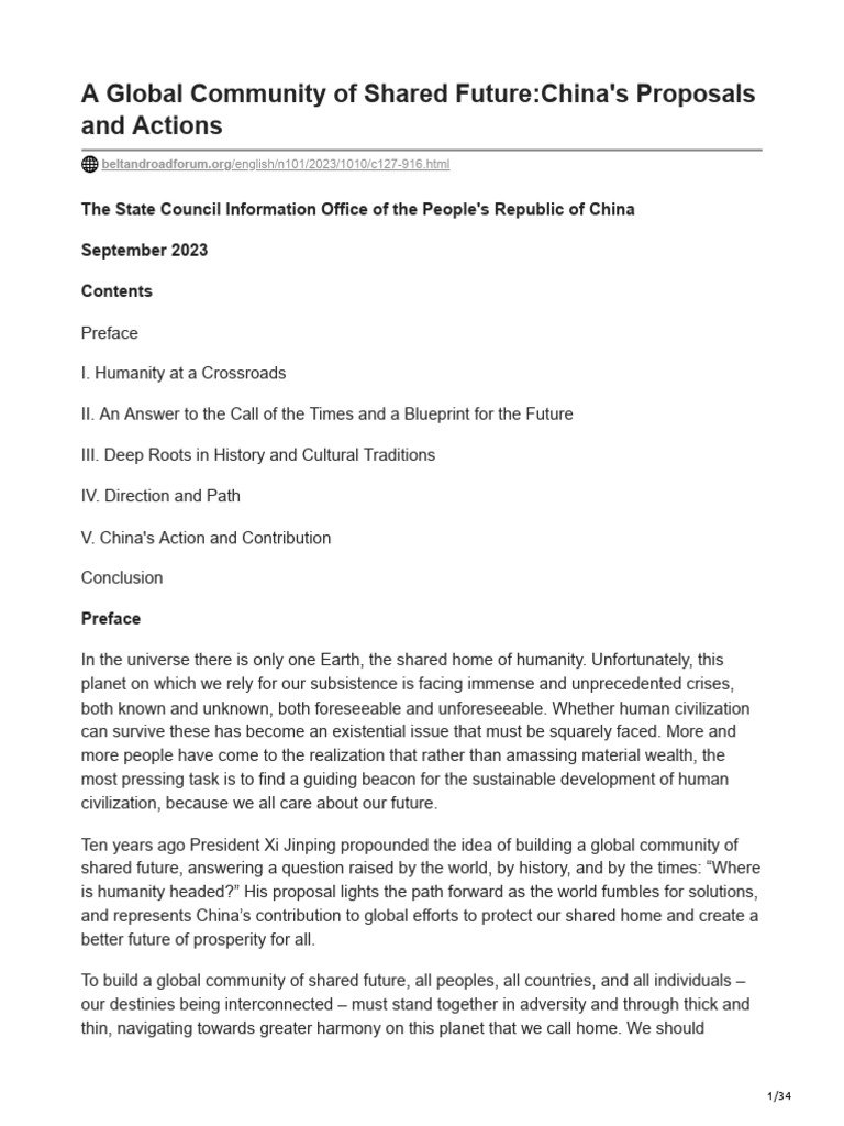 BRI White Paper 2023 | PDF