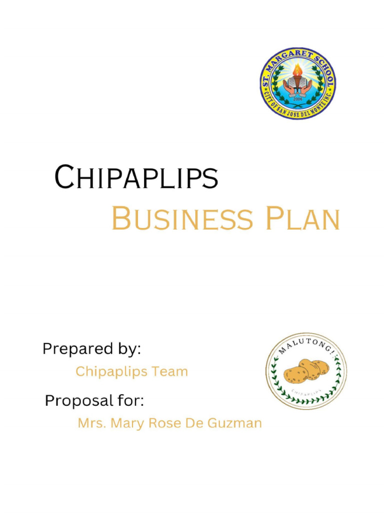Bs Plan Chipaplips | PDF | Balance Sheet | Business
