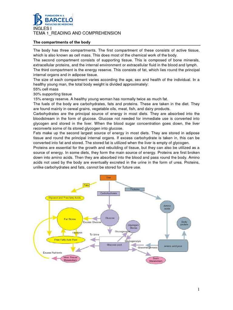 Ud1 - Tema1 - READING - The Compartment of The Body 2021 | PDF