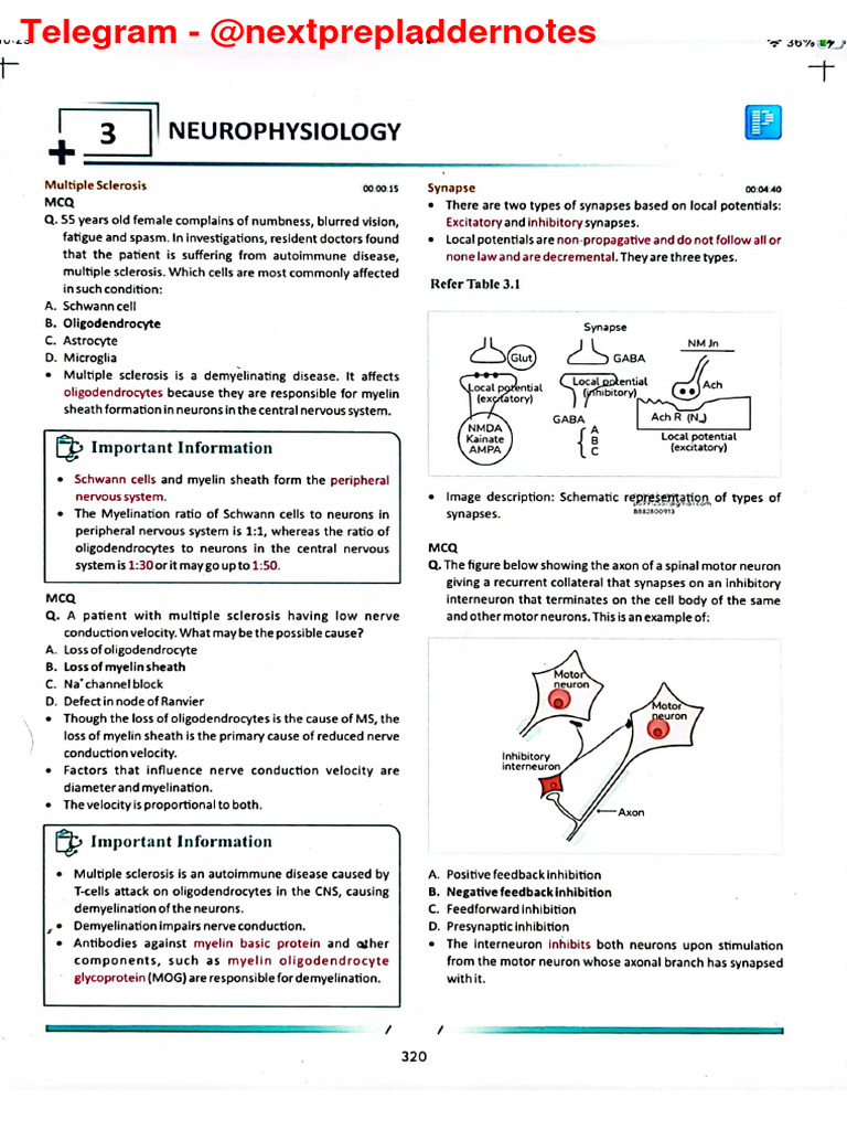 Physio RR Elite Next | PDF