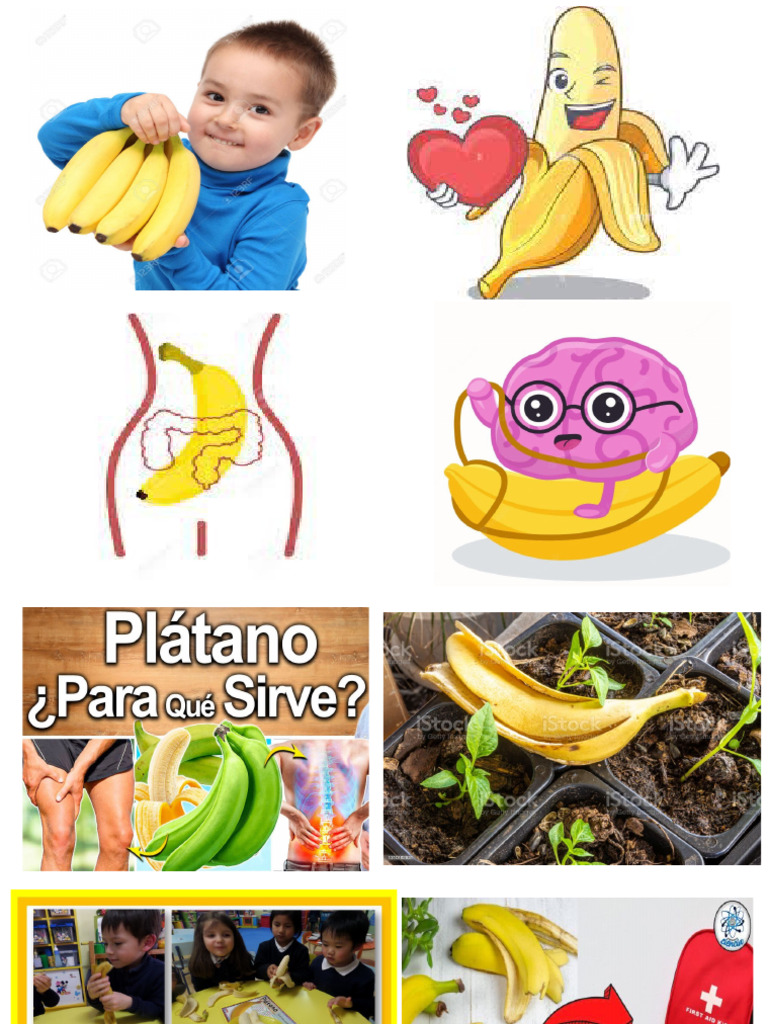 Veneficio Del Platano | PDF