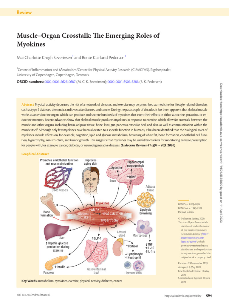 Muscle - Organ Crosstalk - The Emerging Roles of Myokines | PDF