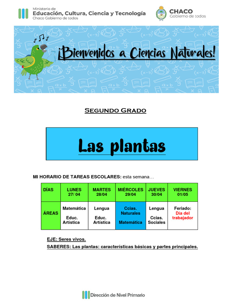 Las Plantas - 2° Grado | PDF