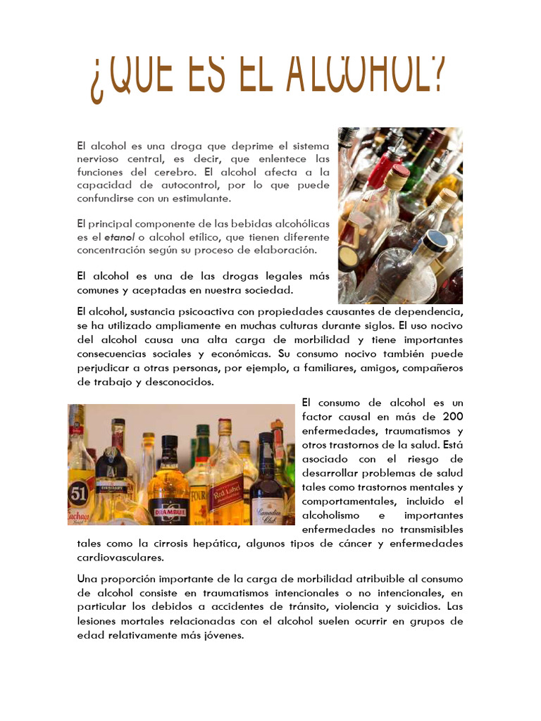 Que Es El Alcohol | PDF | Bebida | Etanol