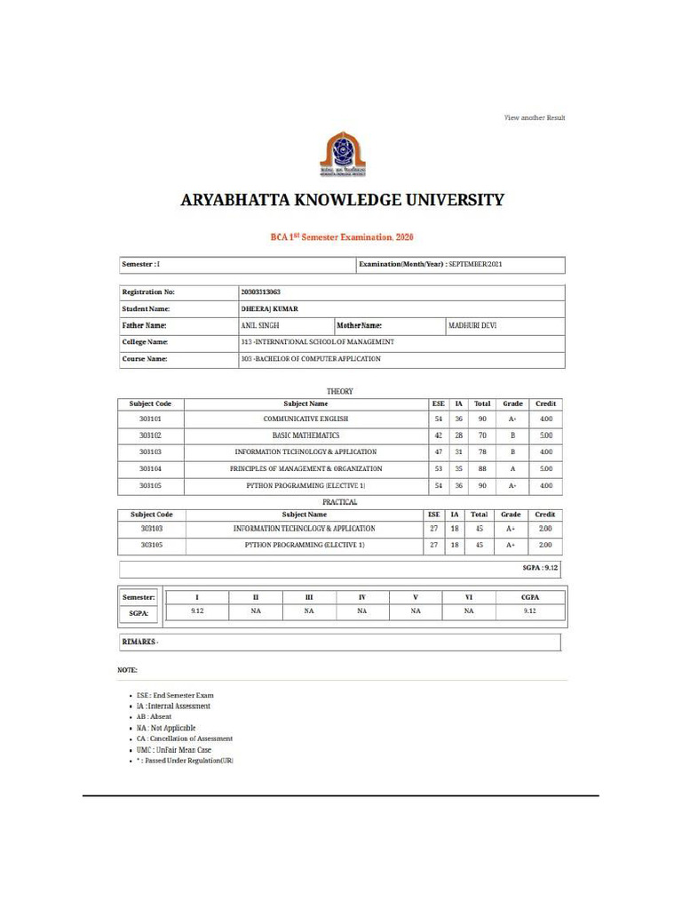 BCA Marksheet | PDF