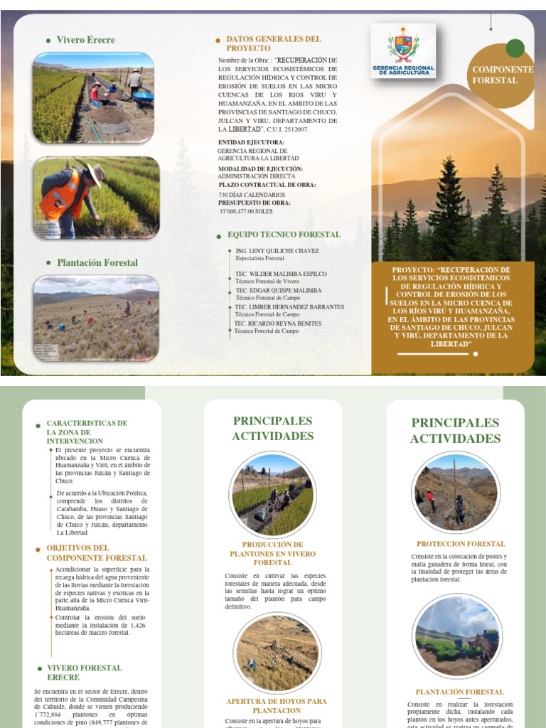 Triptico - Componente Forestal | PDF | Conservación del medio ambiente | Geografía Física