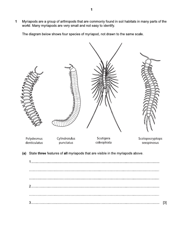 Biology Work Sheet 1 | PDF