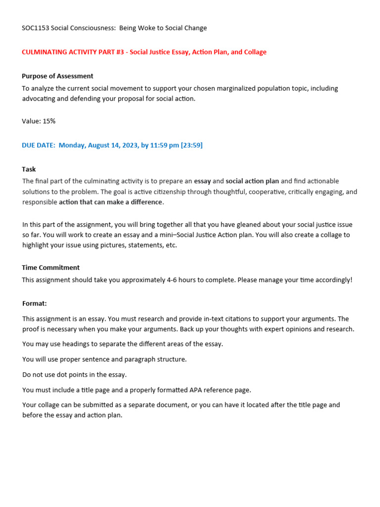 Social Justice Action Plan Essay Guide | PDF