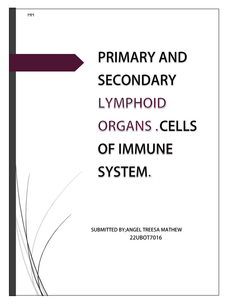 Primary And Secondary Lymphoid Organs Pdf Lymphocyte Lymphatic System 4190