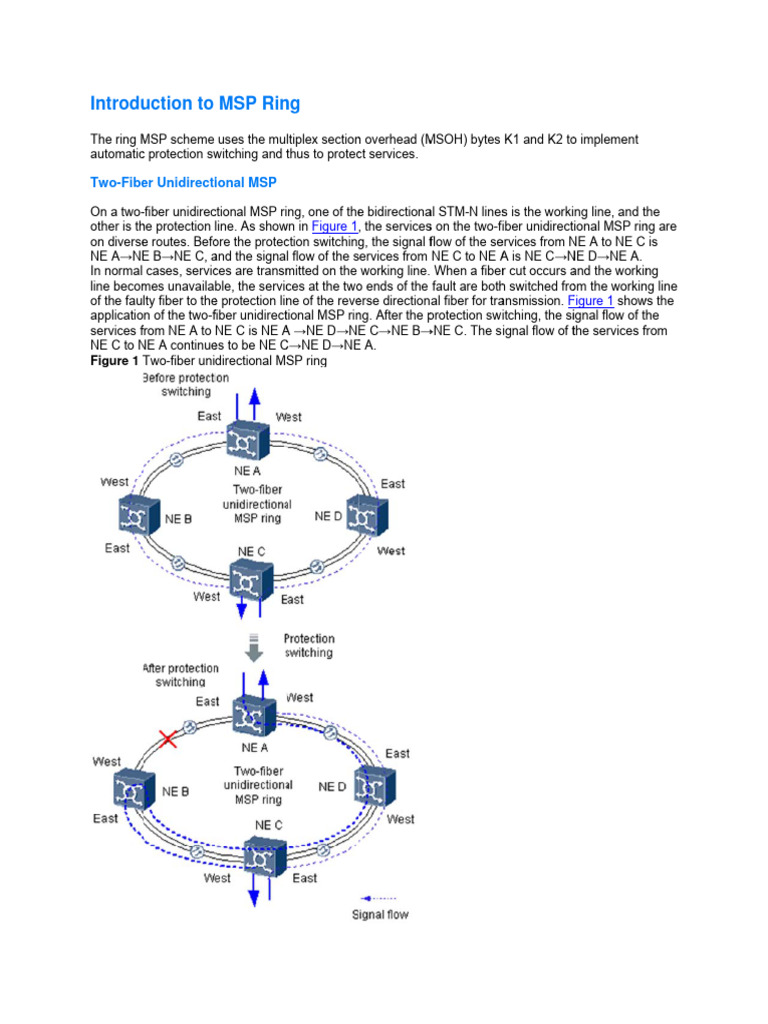 Introduction To MSP Ring | PDF