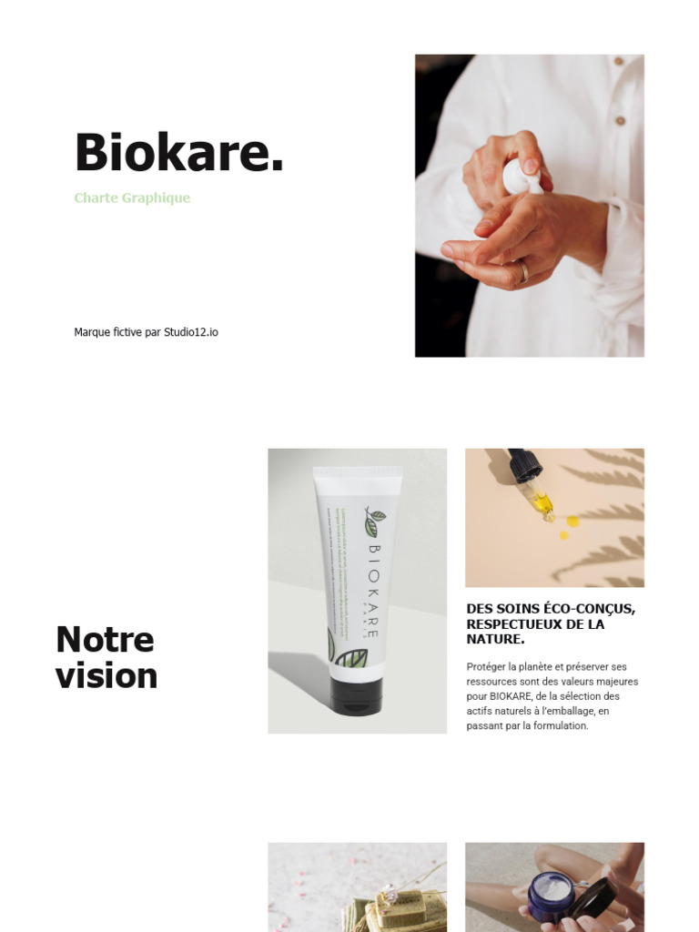 Charte Graphique de Biokare | PDF