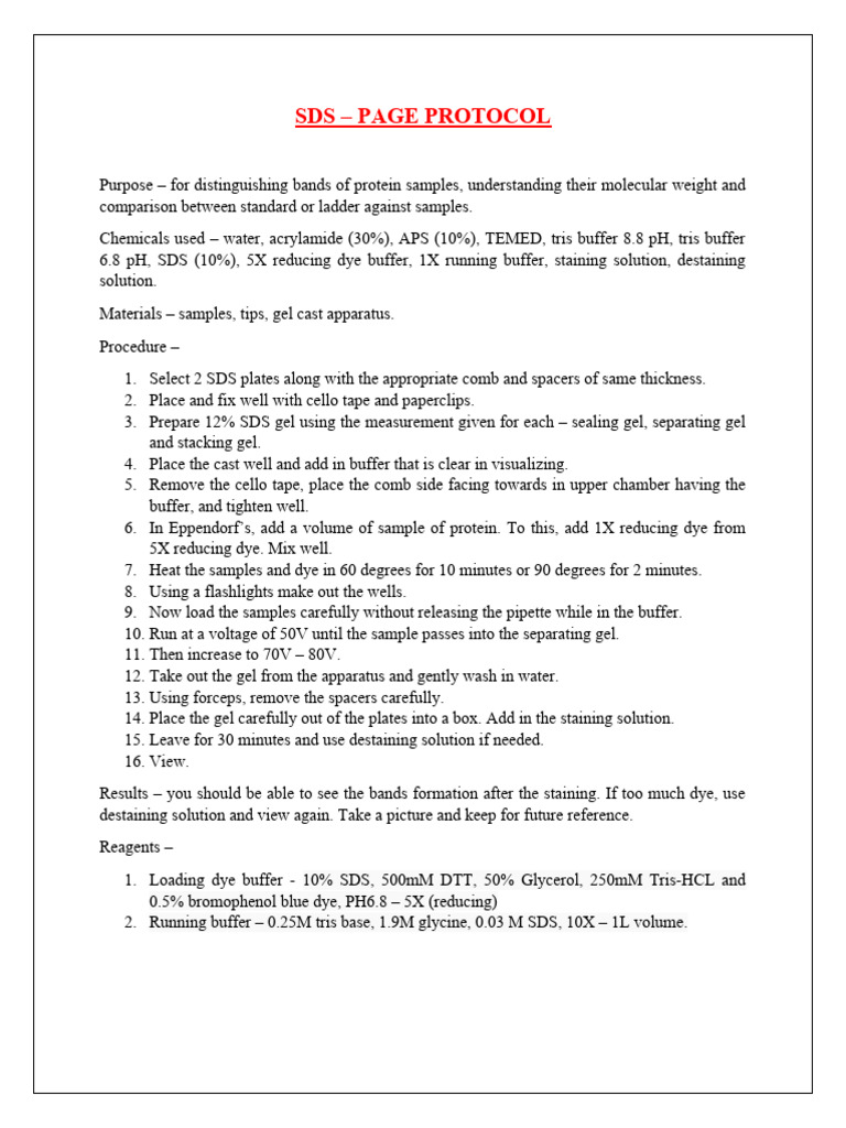 SDS-PAGE Protocol for Protein Analysis | PDF
