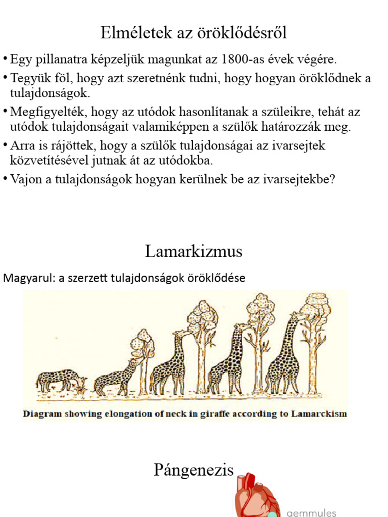 Mendeli Oroklodes Es Mennyisegi Jellegek | PDF
