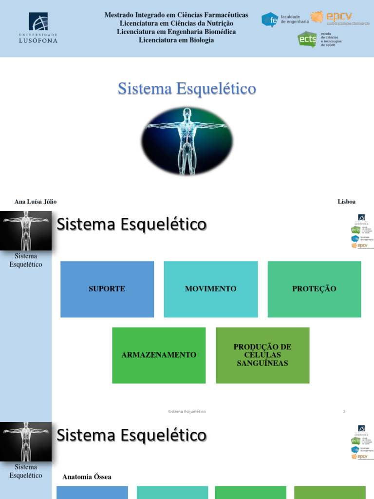 Aula6 Sistemaesqueletico Moodle Snotas | PDF | Esqueleto | Osso