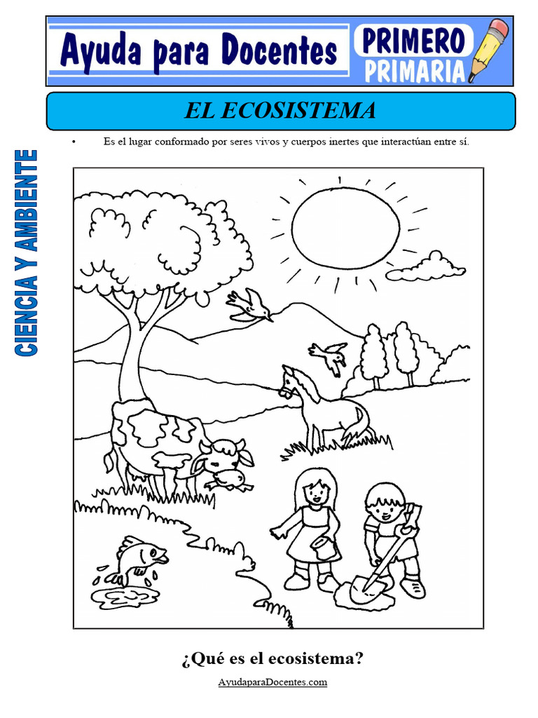 El Ecosistema para Primero de Primaria | PDF