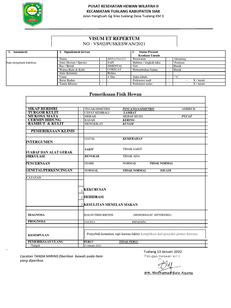 Visum Et Repertum Kematian Sapi | PDF