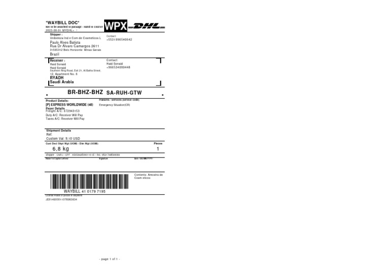 DHL Waybill for International Shipment | PDF