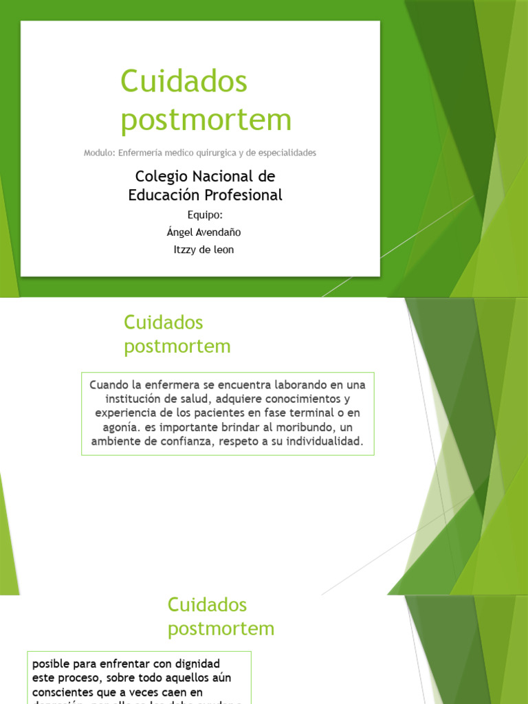 Cuidados Postmortem-1 1 | PDF