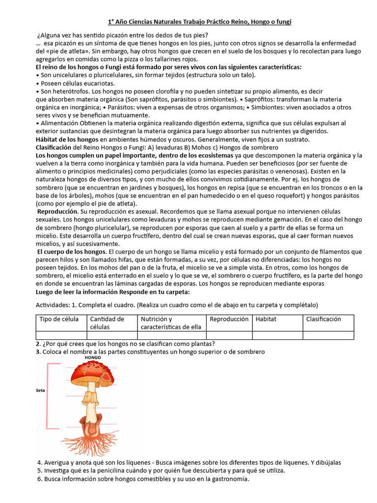 Reino Hongos 2023 | PDF | Hongo | Molde