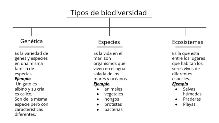 Los Tipos De Biodiversidad Pdf