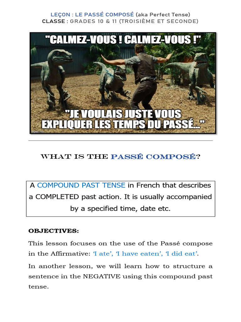 Perfect Tense in French (Passe Compose) - Grades 10 - 11 | PDF ...
