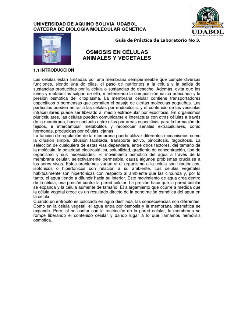 Guía de Práctica No 5 | PDF | Ósmosis | Bioquímica