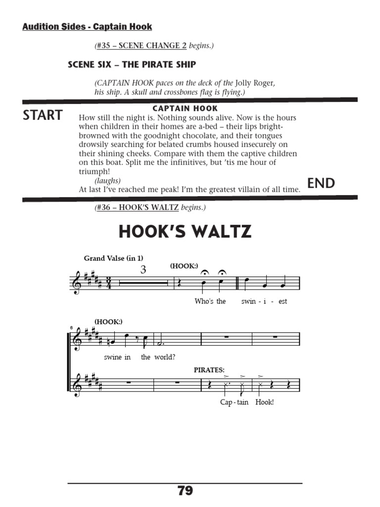 Captain Hook | PDF | Piracy