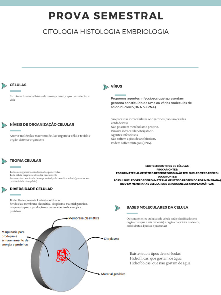 Resumo Citologia, Histologia e Embriologia | PDF | Célula (Biologia ...