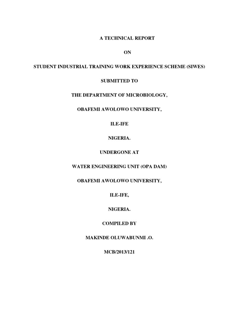 Bunmi's Report 2 | PDF | Technology & Engineering