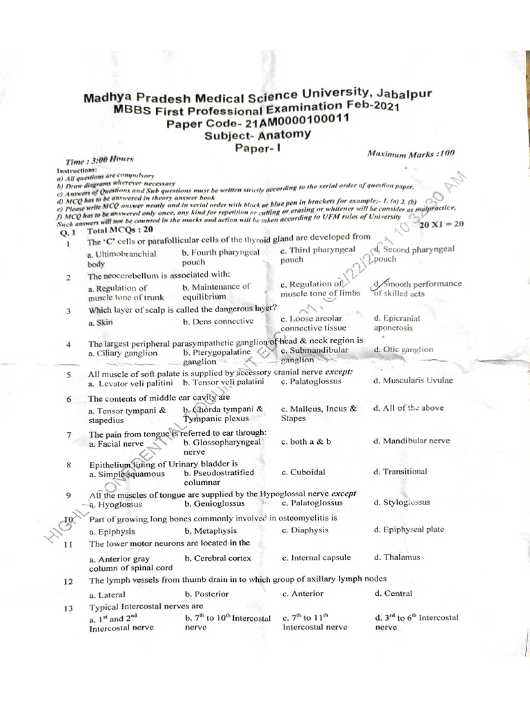 University GRMC 19 BATCH Papers | PDF