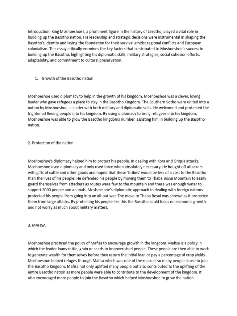 History Essay | PDF | Global Politics | International Relations