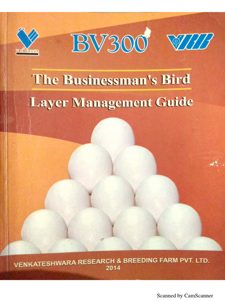 BV 300 Management Manual | PDF