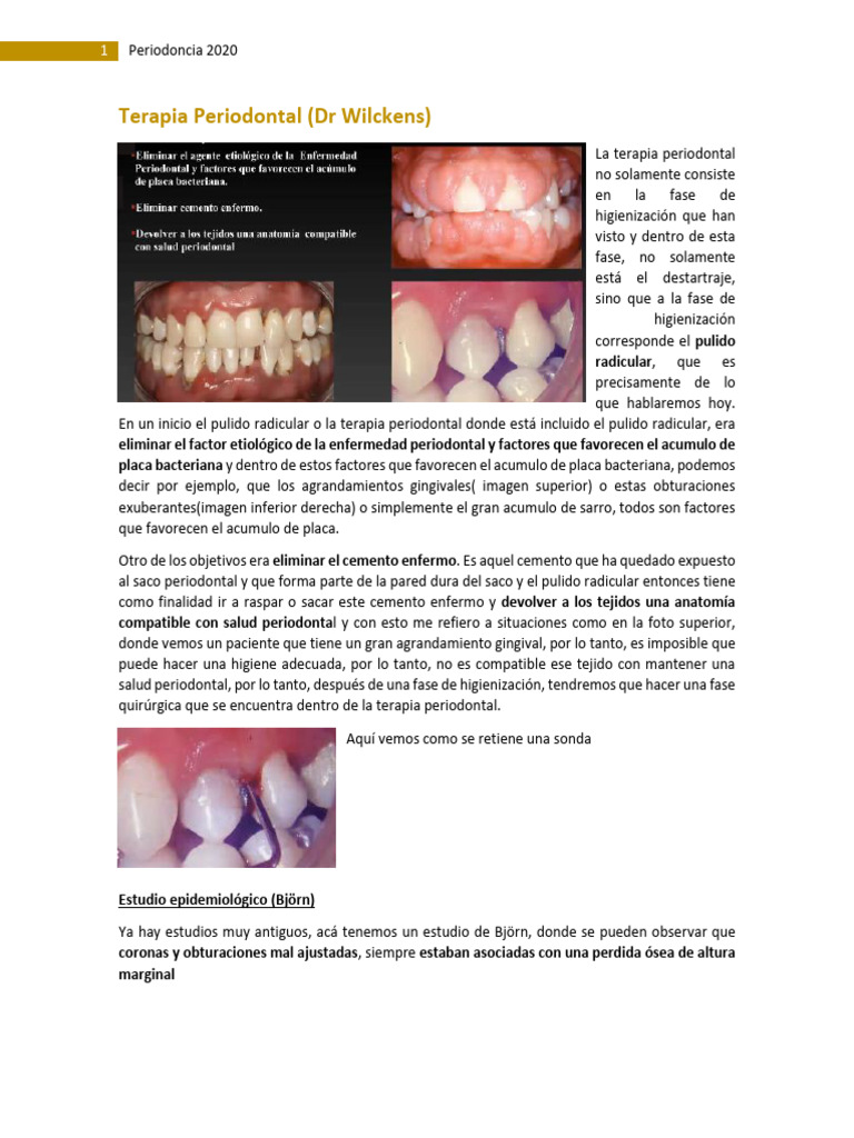 S20 Pulido Radicular | PDF