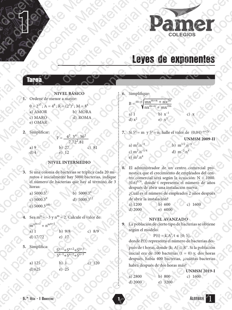 08 Tarea Algebra 5° Año | PDF | Algoritmos | Análisis matemático