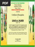 BSP Certificate of Recognition | PDF