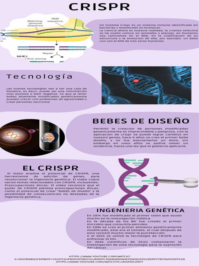 Infografía PRINCIPIOS DE LA BIOTEC | PDF | Crispr | Ingeniería genética